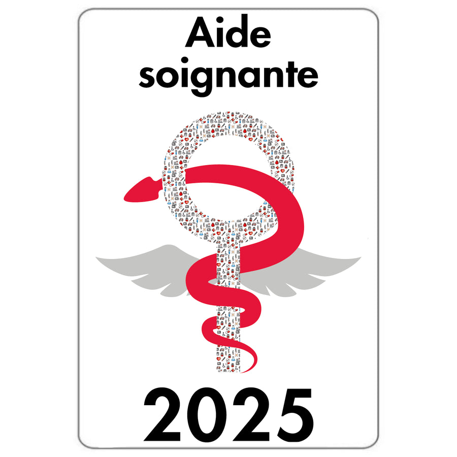 Caducée "Infirmier" 2025 - La Boutique Des Infirmières